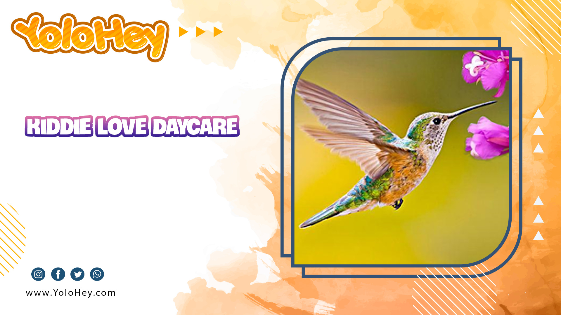 ดาวน์โหลด The Hummingbird Mod APK v1.1.8 ฟรีสำหรับ Android